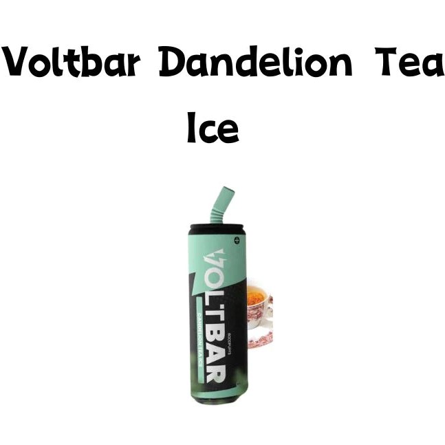 VoltBar 6000 Puff - SG Vape Cod